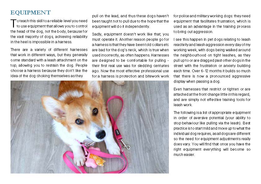 The Heel Command – Victorian Dog Training Academy (VDTA) in Melbourne ...