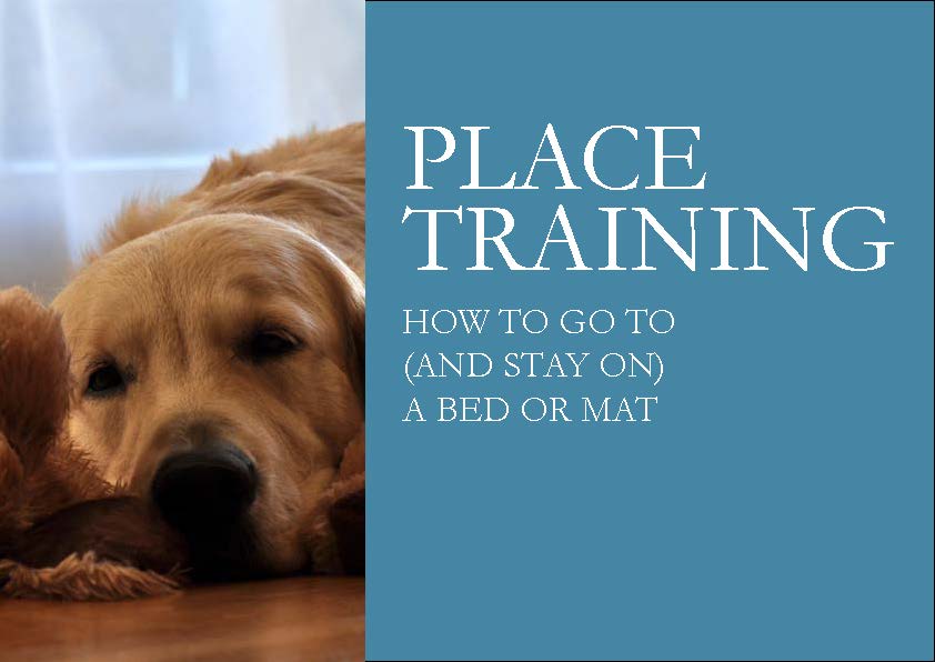 Place Training – Victorian Dog Training Academy (VDTA) in Melbourne ...