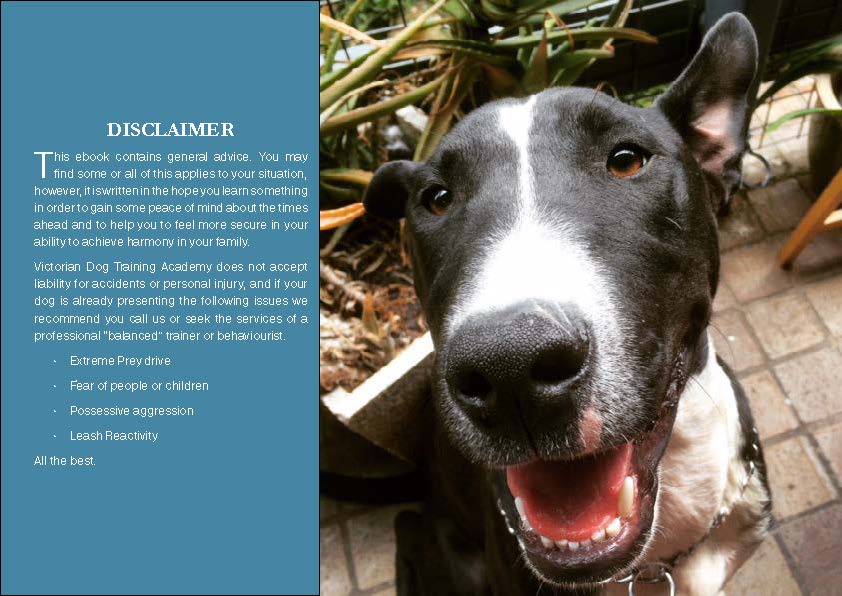 The Heel Command – Victorian Dog Training Academy (VDTA) in Melbourne ...